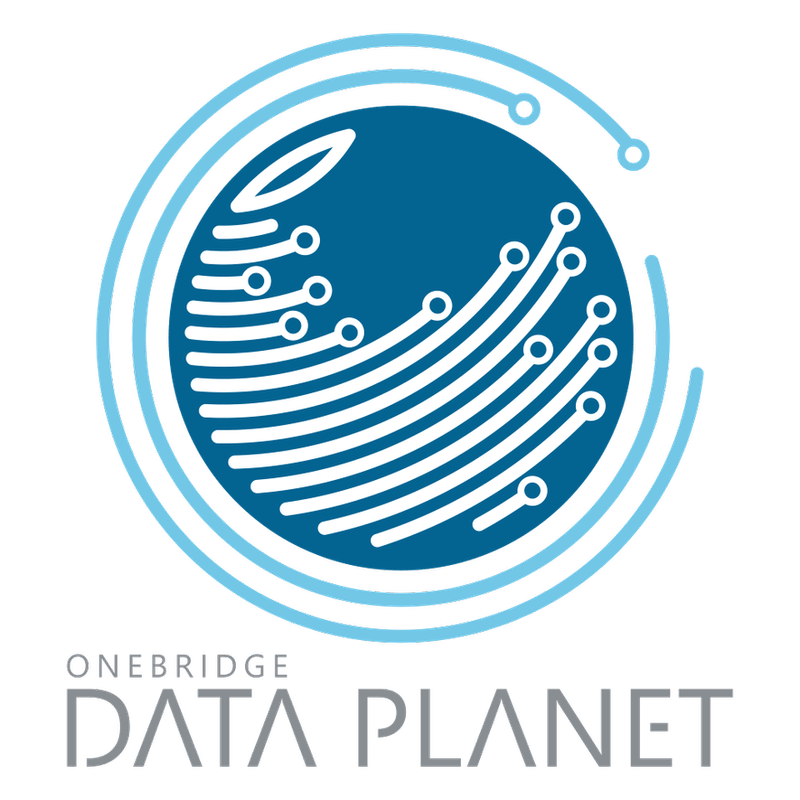 Data Analytics Consulting | Onebridge